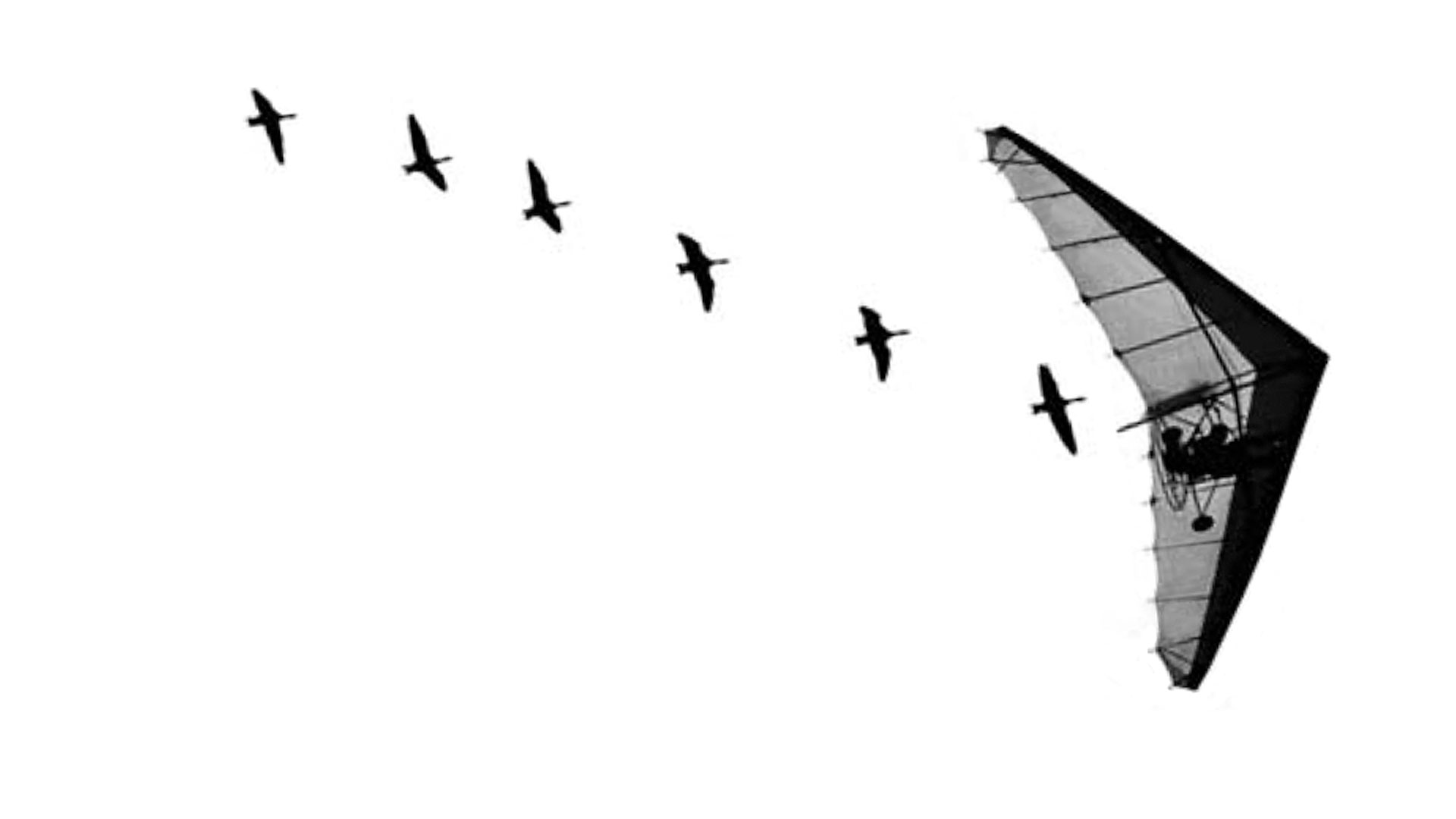 Formation Association